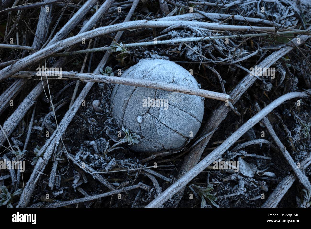 Lost football in the roadside Stock Photo - Alamy
