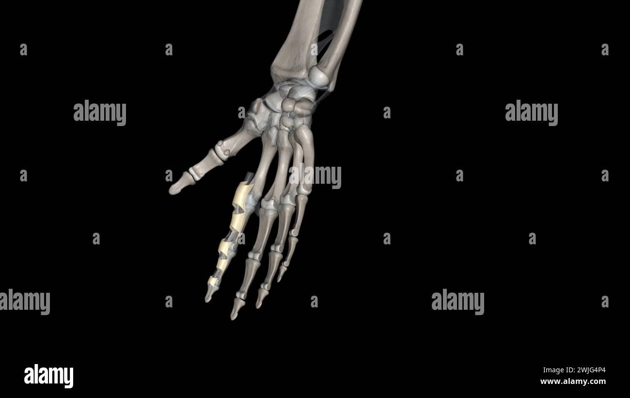 Annular joint hi-res stock photography and images - Alamy