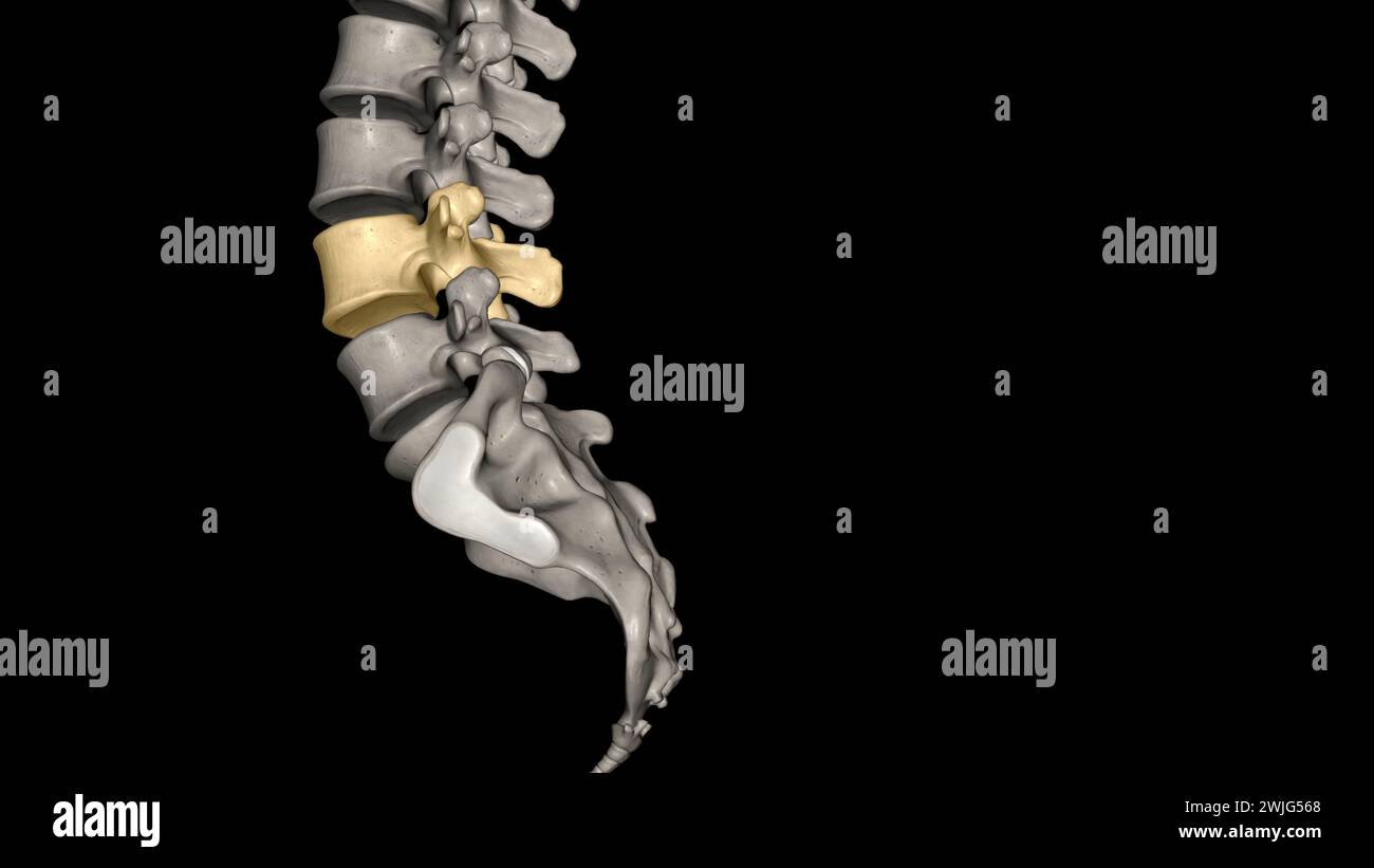 L4 l5 hi-res stock photography and images - Alamy
