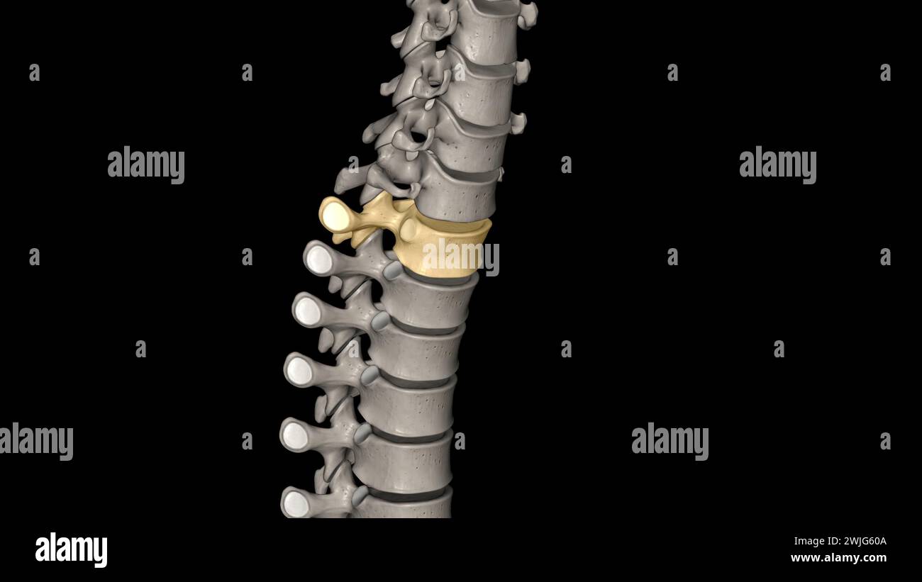 L4 l5 hi-res stock photography and images - Alamy