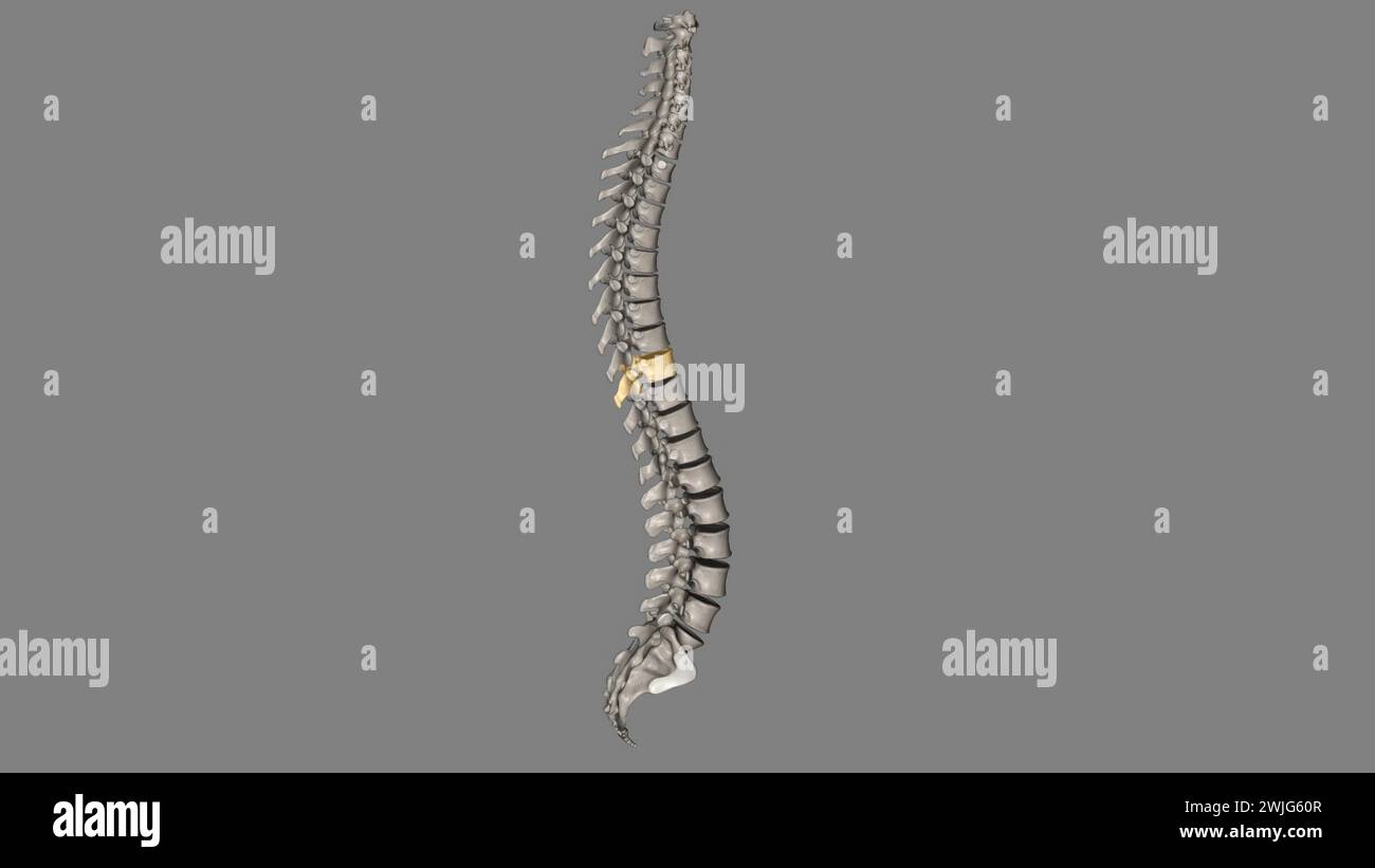 T9 1 hi-res stock photography and images - Alamy