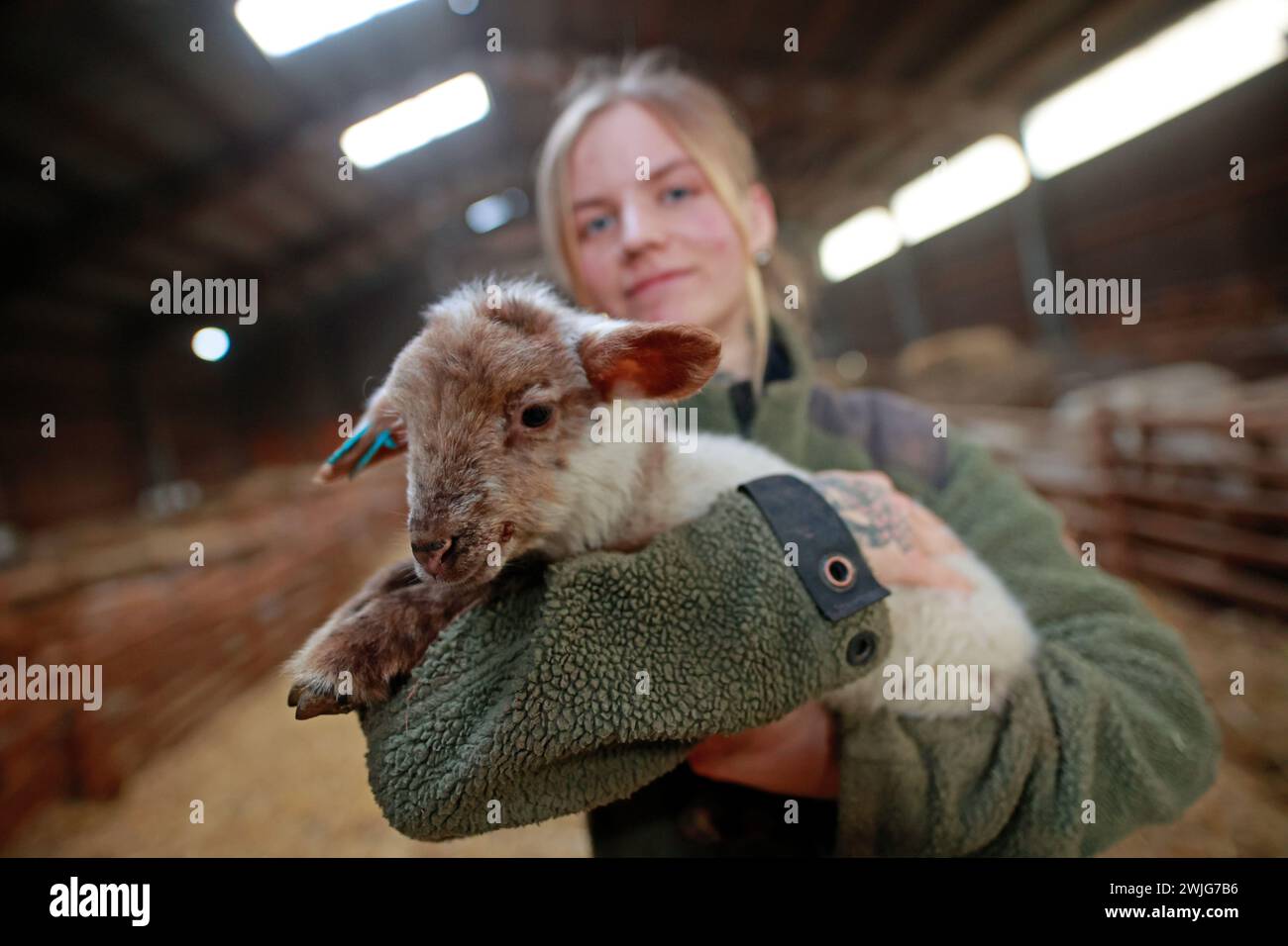 Wernigerode, Germany. 15th Feb, 2024. Employee Lara Scharwinski carries ...