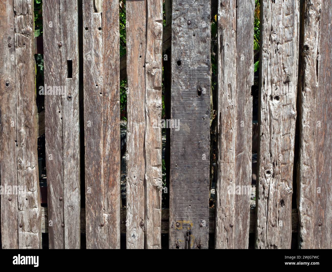 Wooden Fence Background Blue Colored Wooden Texture A Vibrant Timber Surface Overlay, Wood ...