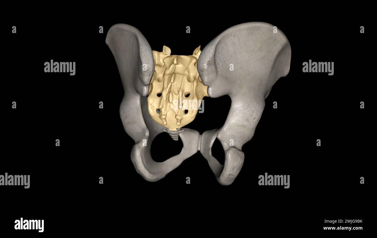Hip triangular hi-res stock photography and images - Alamy