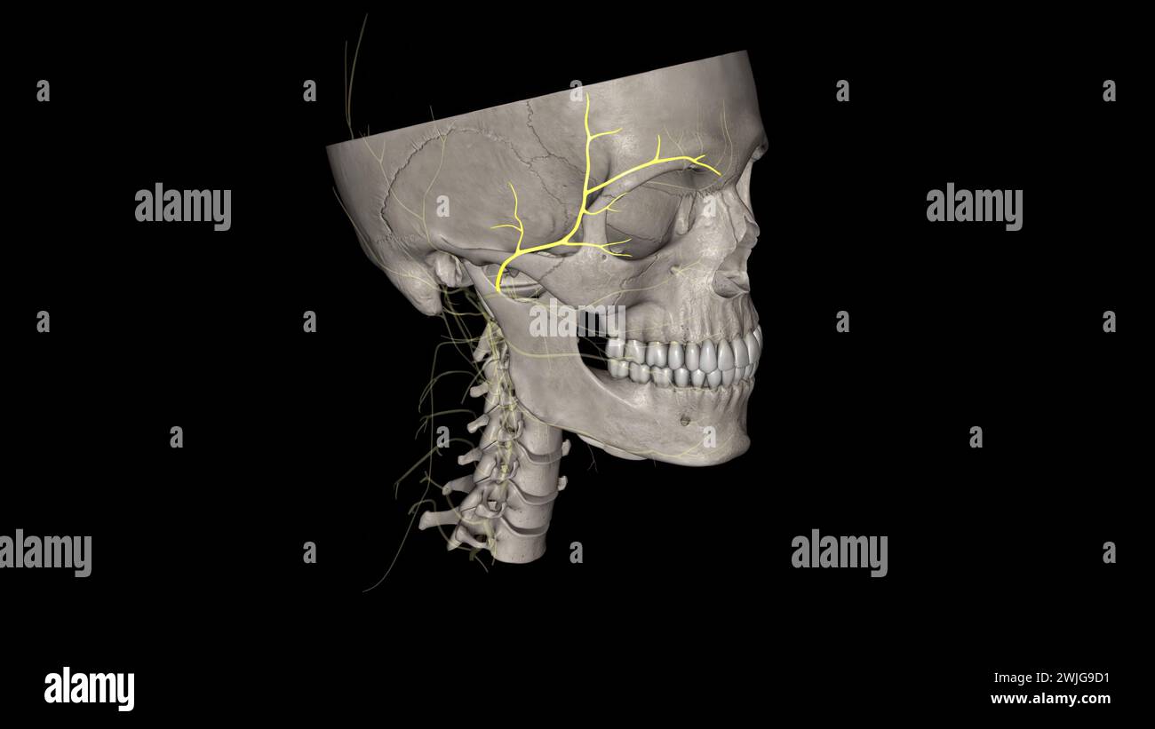 Facial nerve paralysis hi-res stock photography and images - Alamy