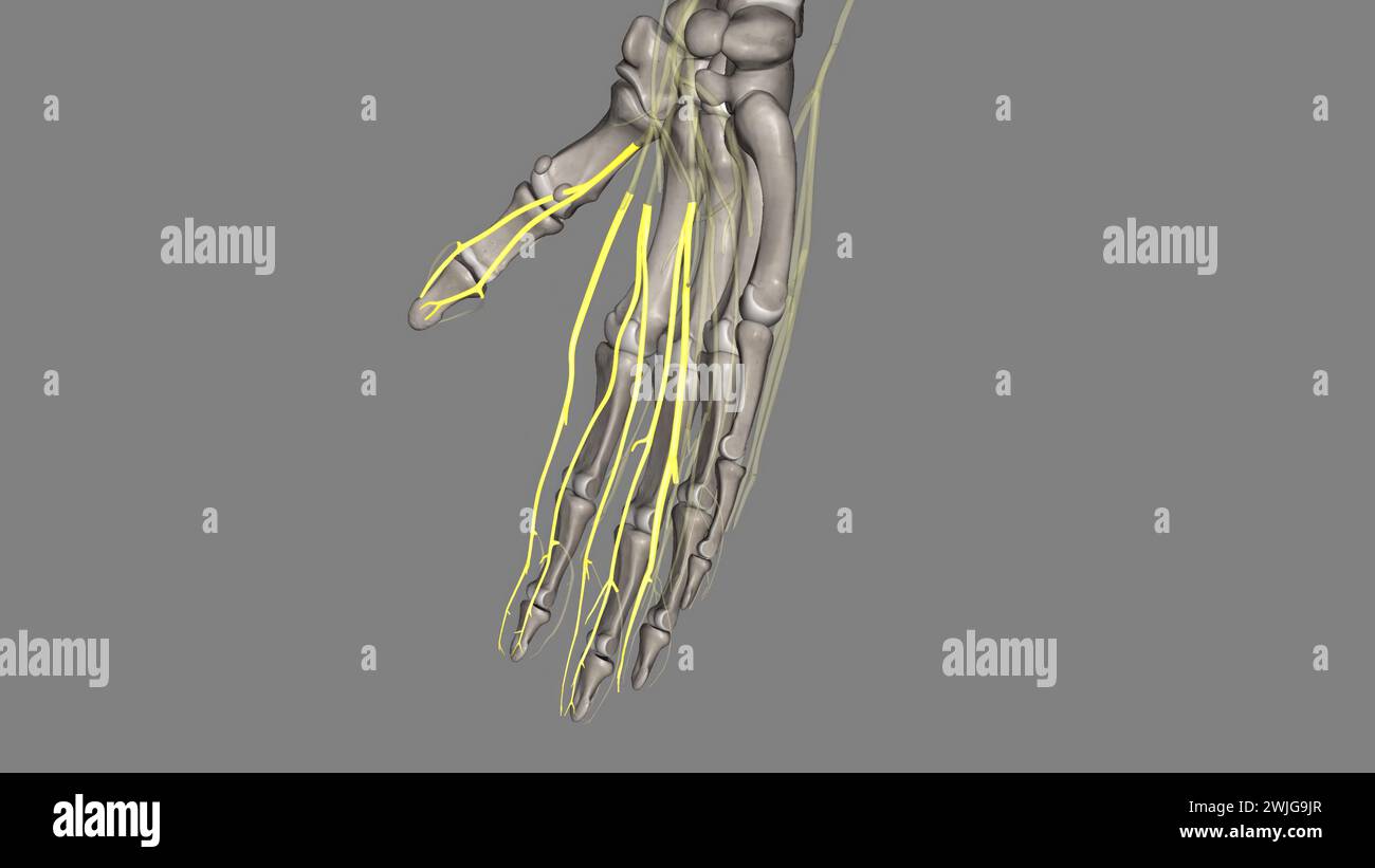 Digital nerves hi-res stock photography and images - Alamy