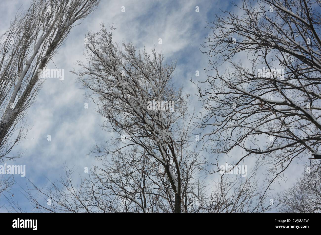 Heavy snowfall in kaghan hi-res stock photography and images - Alamy