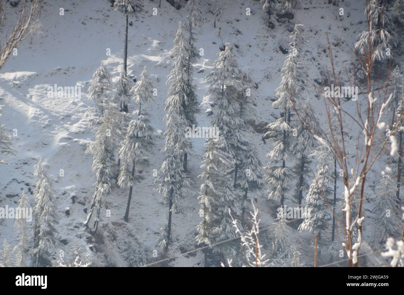 Heavy snowfall in kaghan hi-res stock photography and images - Alamy