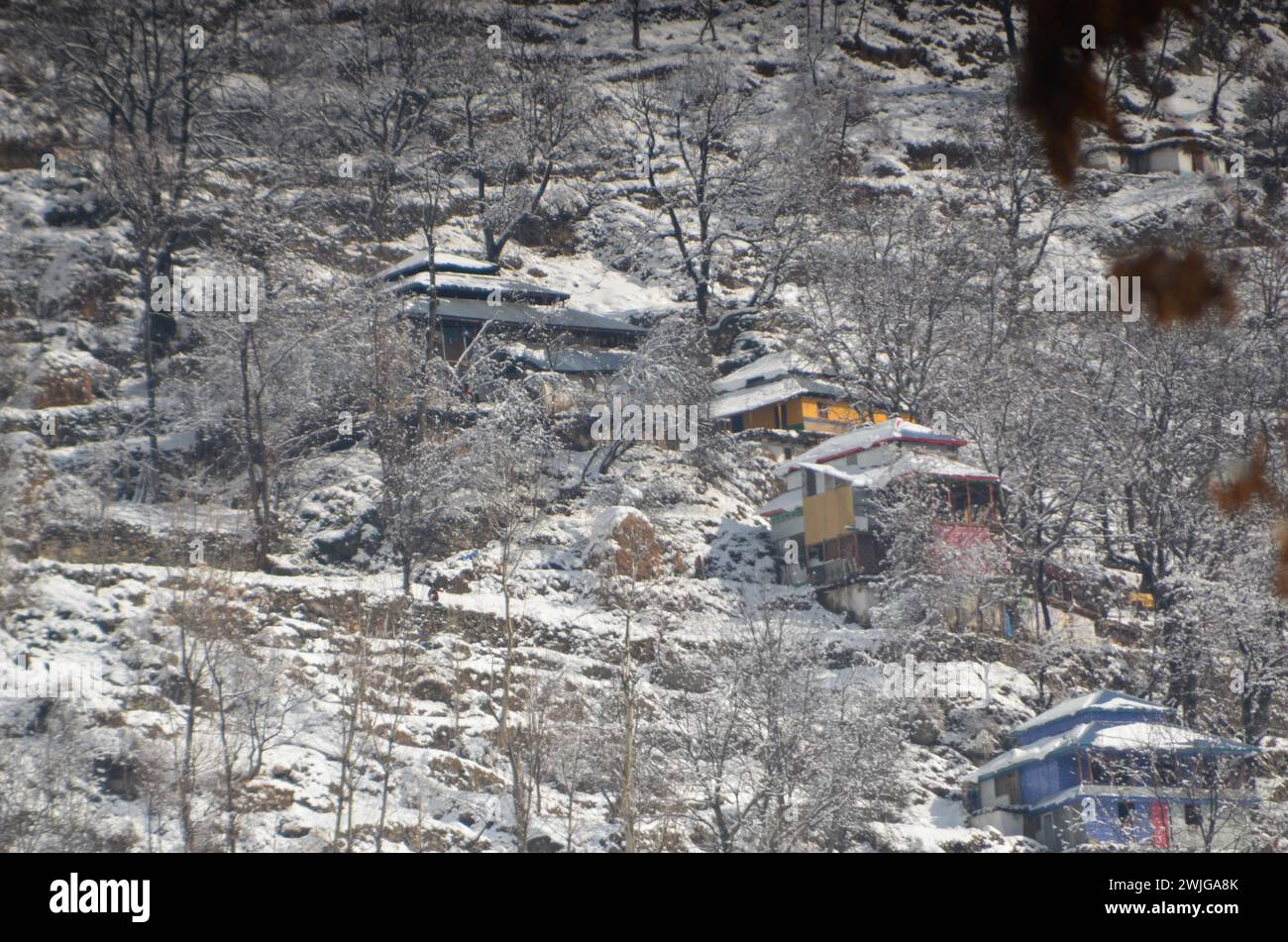 Snowfall in Kaghan Naran Feb-2024 Stock Photo - Alamy