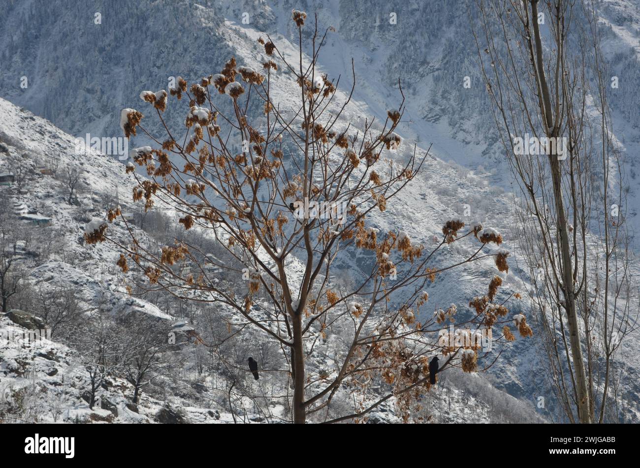 Congratulations on 2024 hi-res stock photography and images - Alamy