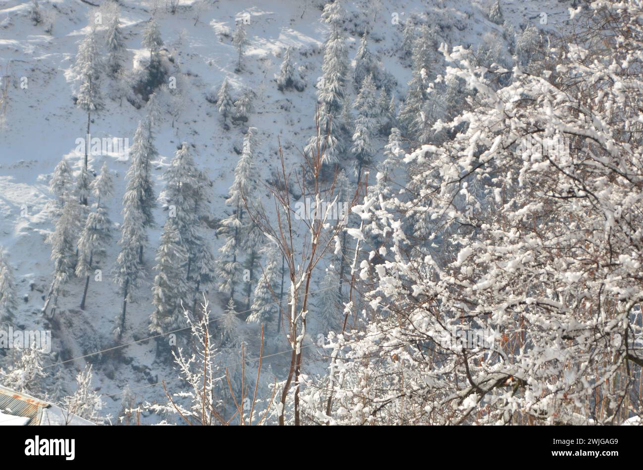 Snowfall in Kaghan Naran Feb-2024 Stock Photo - Alamy