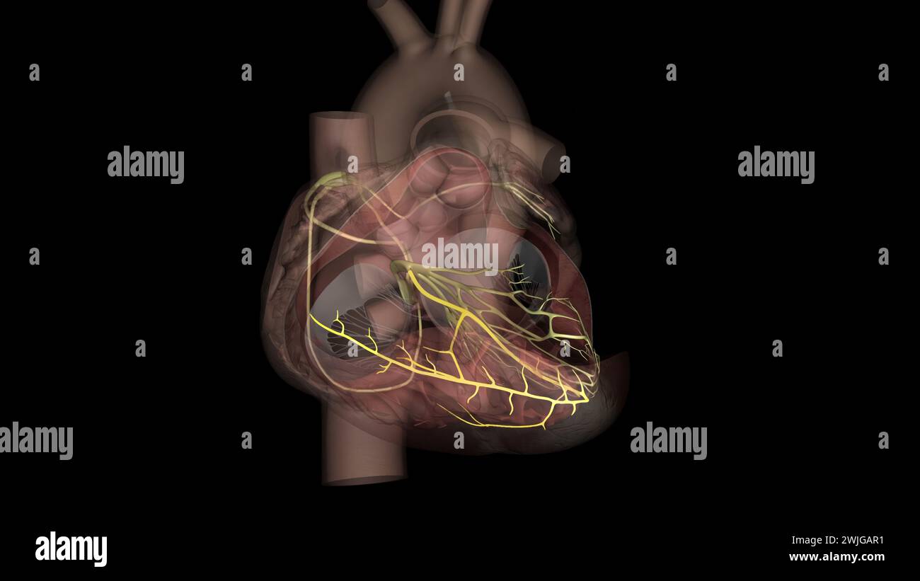 Blood circulation electrical hi-res stock photography and images - Alamy
