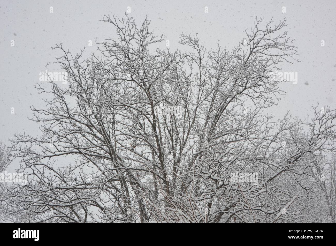 Heavy snowfall in kaghan hi-res stock photography and images - Alamy