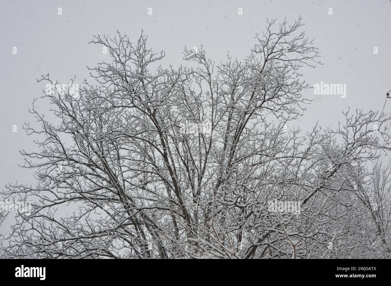 Congratulations on 2024 hi-res stock photography and images - Alamy