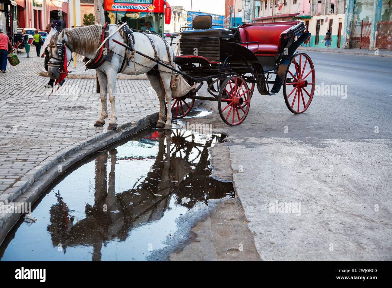 Horse drawn bus carriage hi-res stock photography and images - Alamy