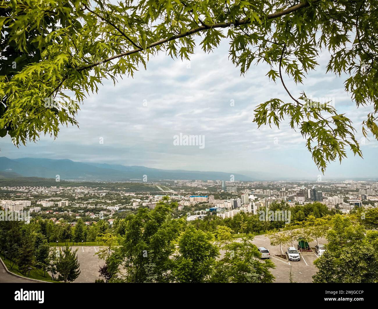 Cityscape with green trees in foreground, contrasting with vibrant urban backdrop. Harmony ...