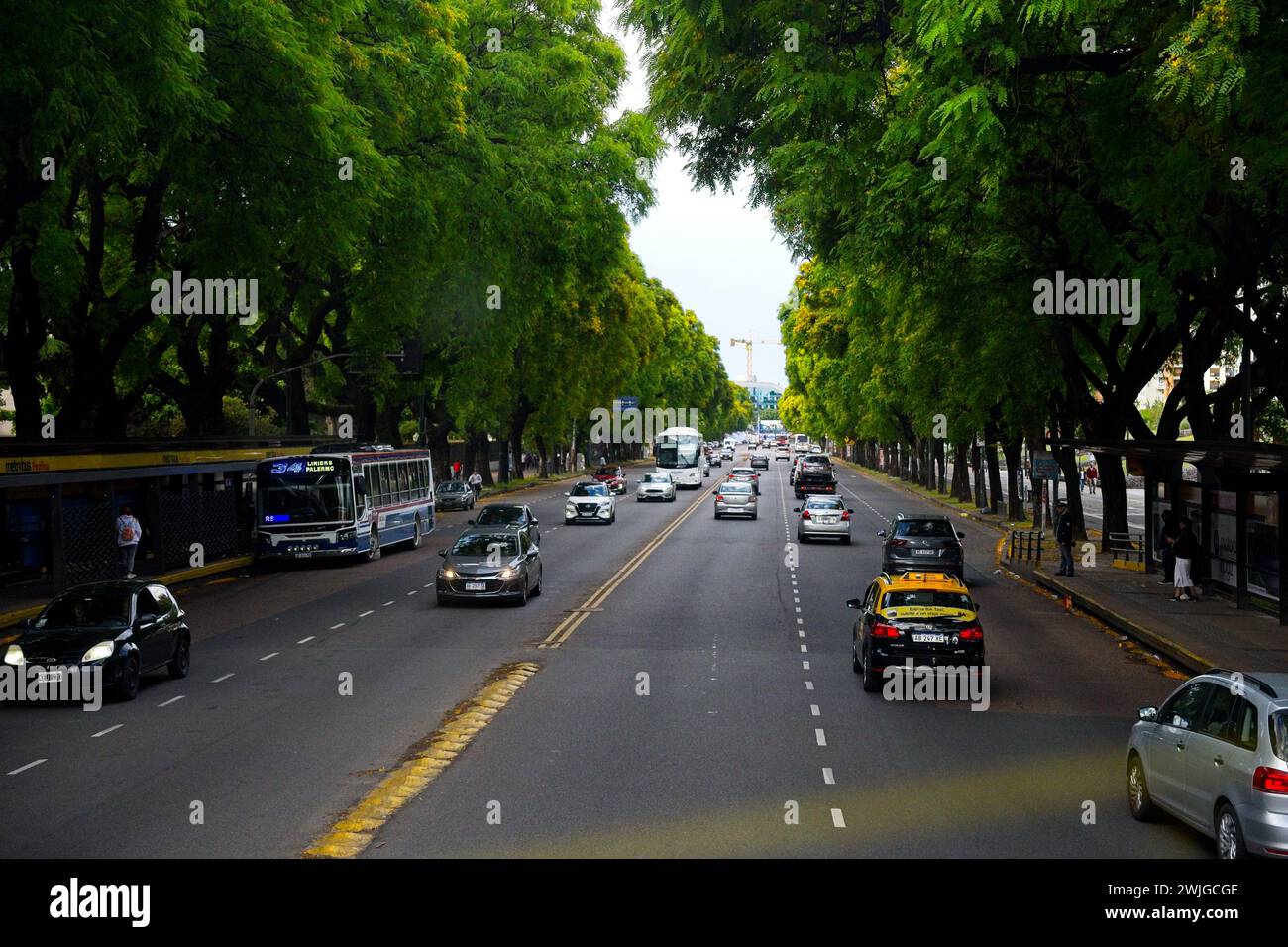 One of the many wide tree lined Boulevards in Buenos aires Stock Photo ...