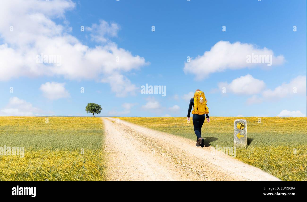 Camino de Santiago - A young pilgrim with a yellow backpack, walking ...