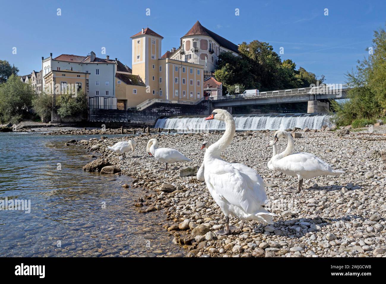 Steyr river hi-res stock photography and images - Alamy