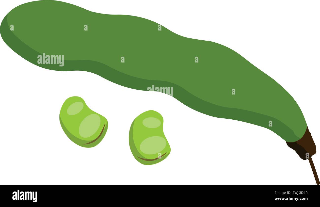 Illustration of beanstalk, illustration of vegetables, vector ...
