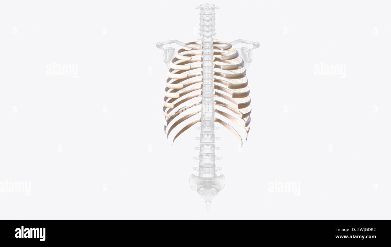 Chest pain centre hi-res stock photography and images - Alamy