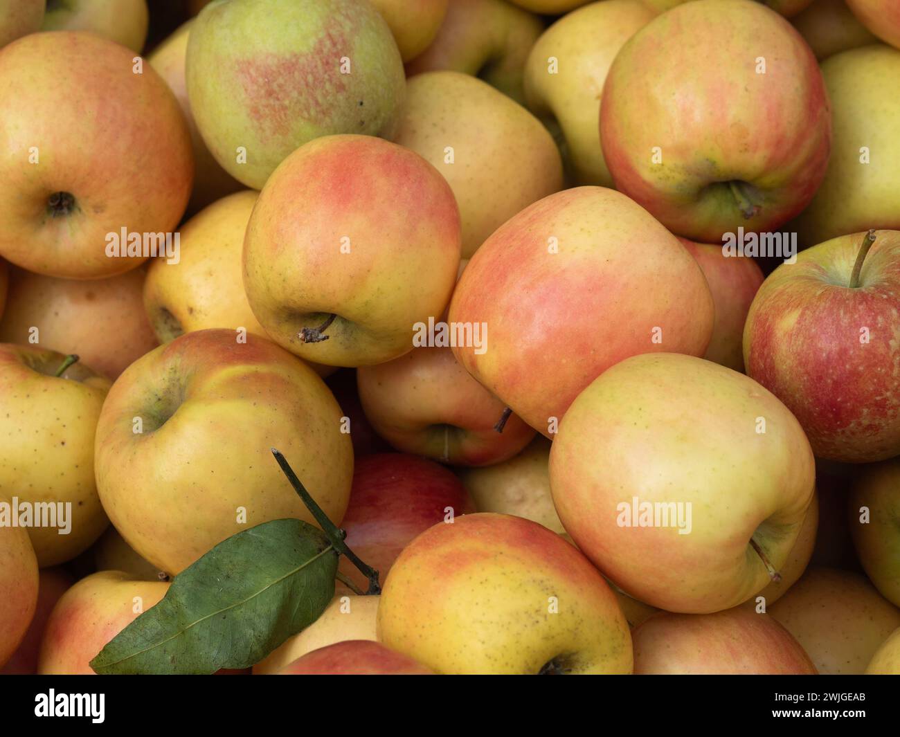 Bulk apples hi-res stock photography and images - Alamy