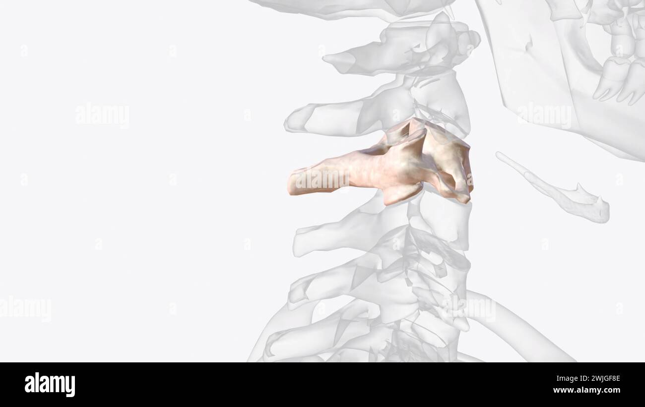 Unique internal structure hi-res stock photography and images - Alamy