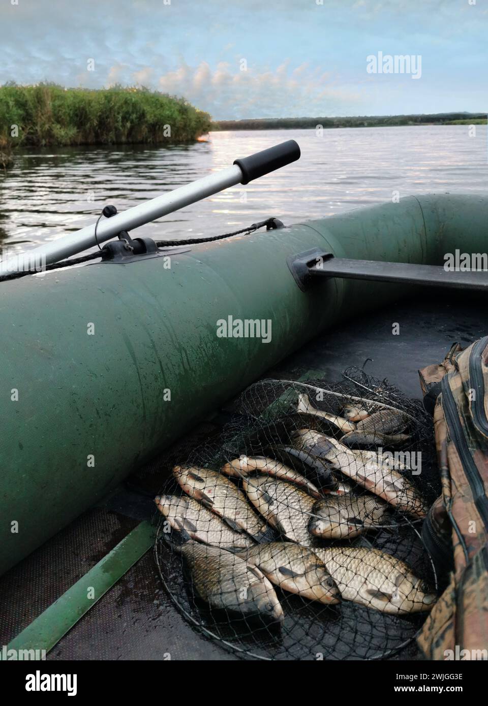 Fishing net big carp hi-res stock photography and images - Alamy