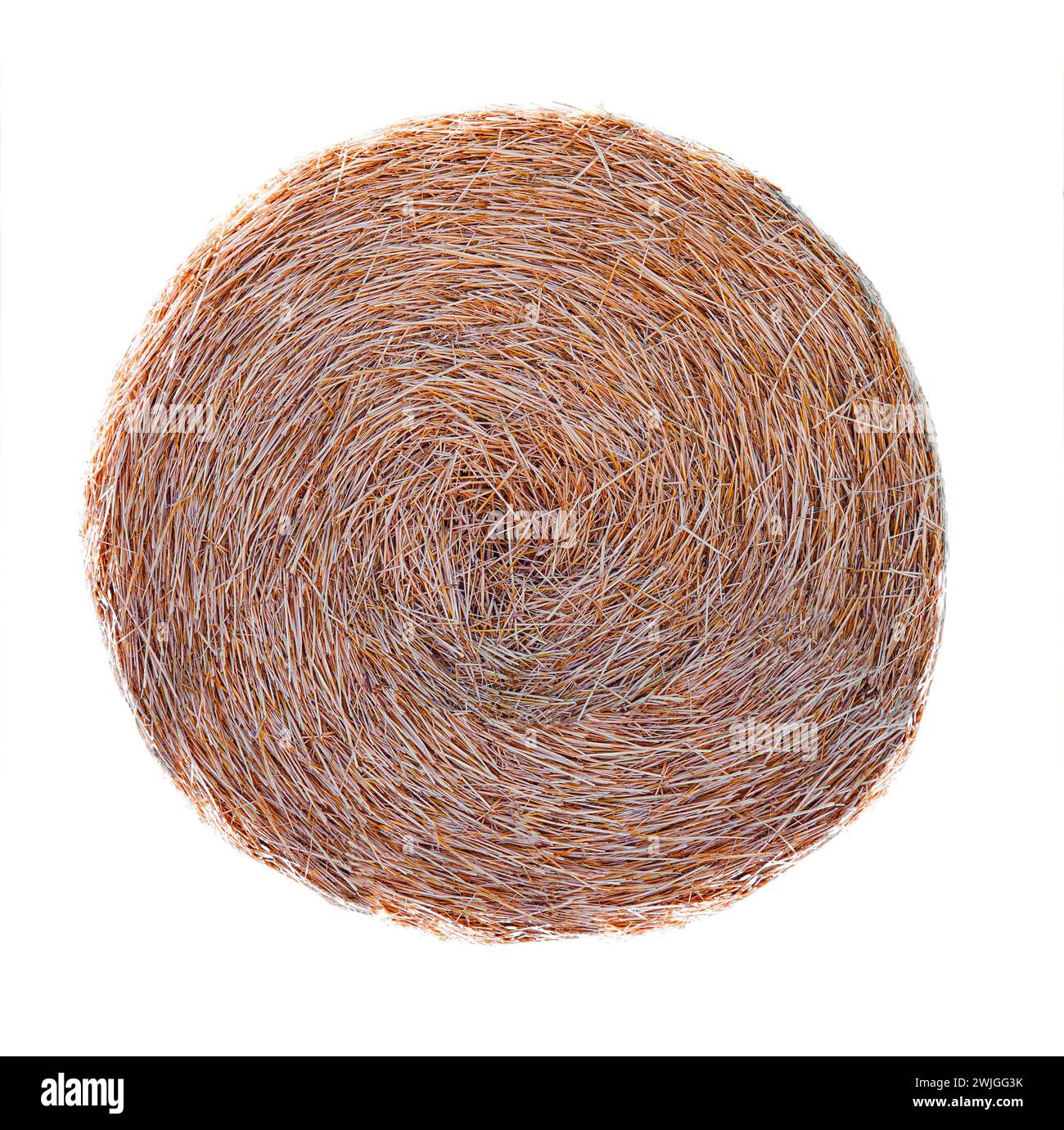 Round hay bale isolated on a white background Stock Photo - Alamy