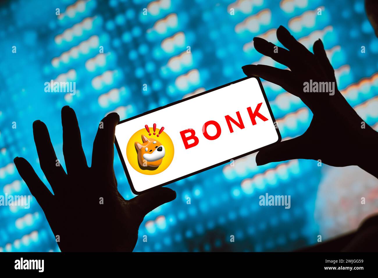 Brazil. 15th Feb, 2024. In this photo illustration, the Bonk logo is ...