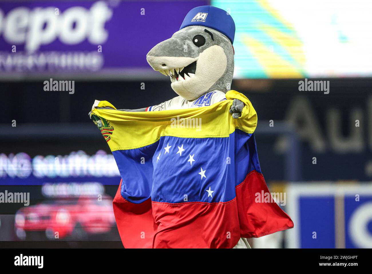 MIAMI, FLORIDA - FEBRUARY 1: Tibu of Sharks mascot from Ot Tiburones de ...