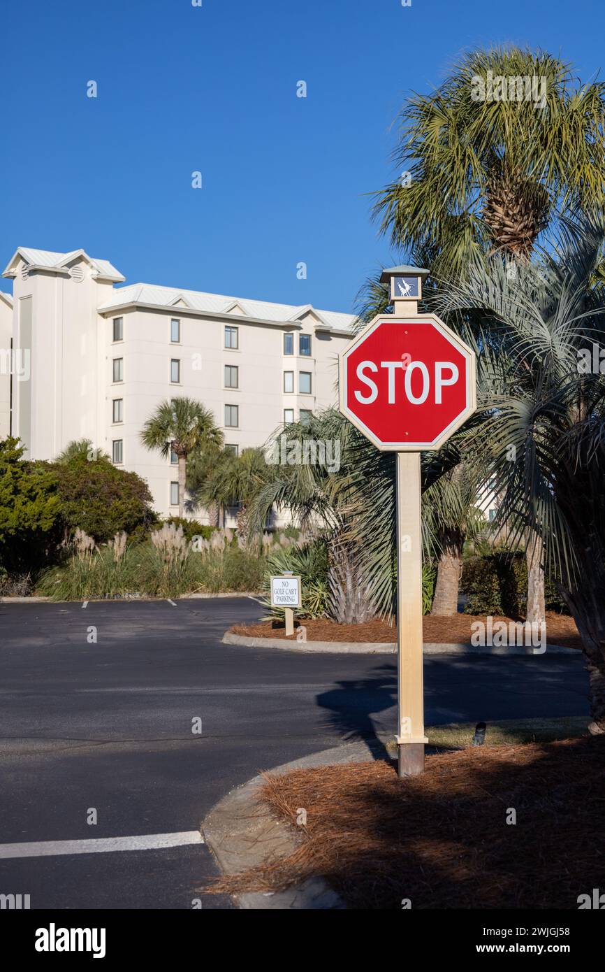 Stop sign and tropical foliage in South Carolina, USA at Litchfield ...
