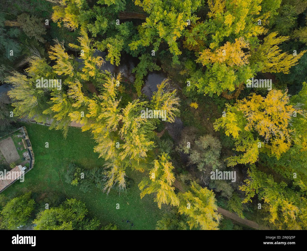 Drone flight over bright beautiful hi-res stock photography and images ...