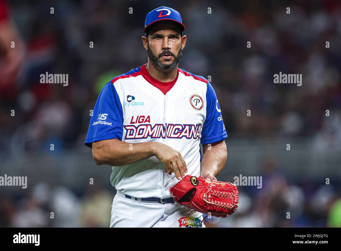 MIAMI, FLORIDA - FEBRUARY 1: Raul Valdes starting pitcher of Tigres del ...