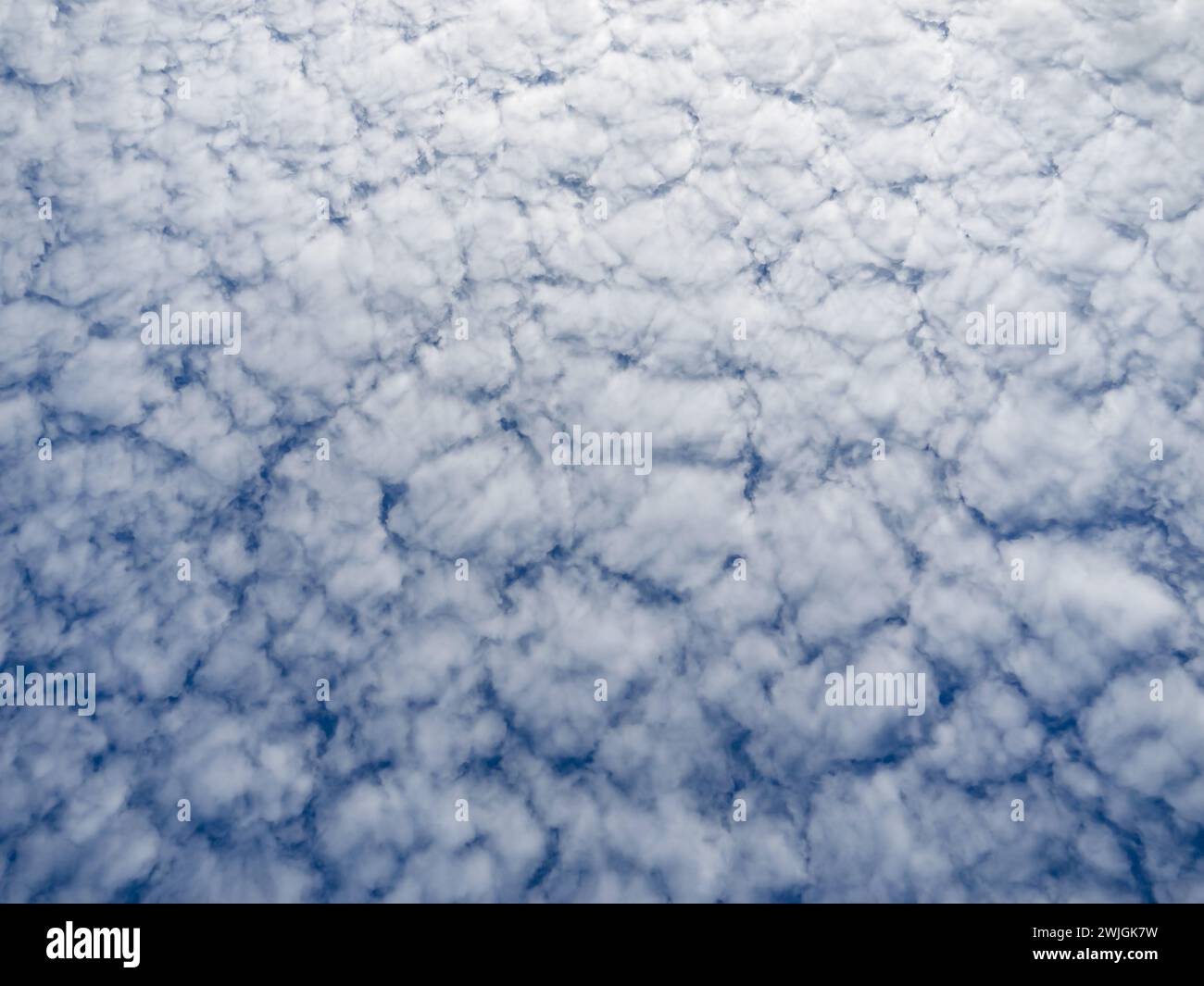 Fleecy hi-res stock photography and images - Alamy