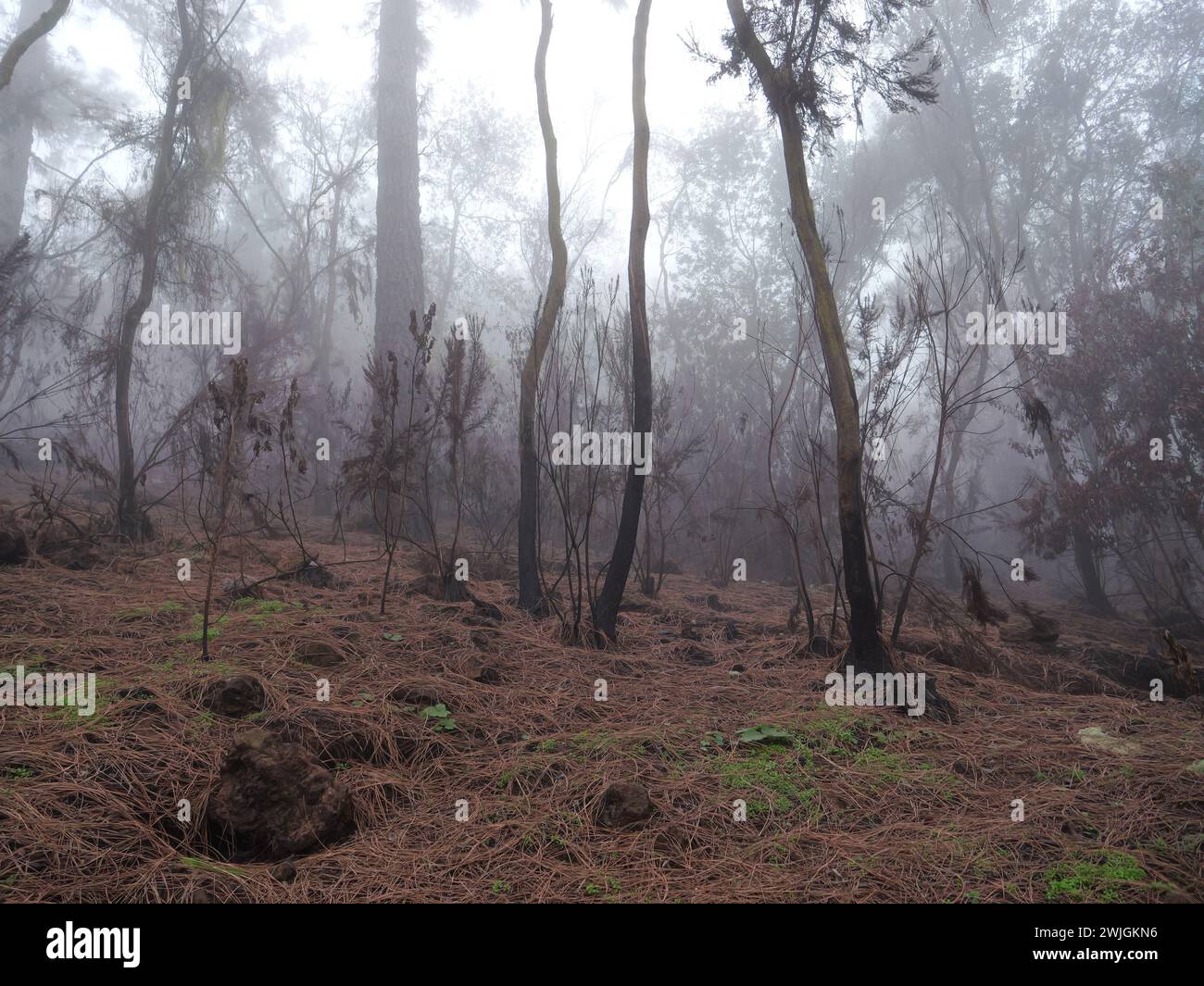 Deserted environment hi-res stock photography and images - Alamy