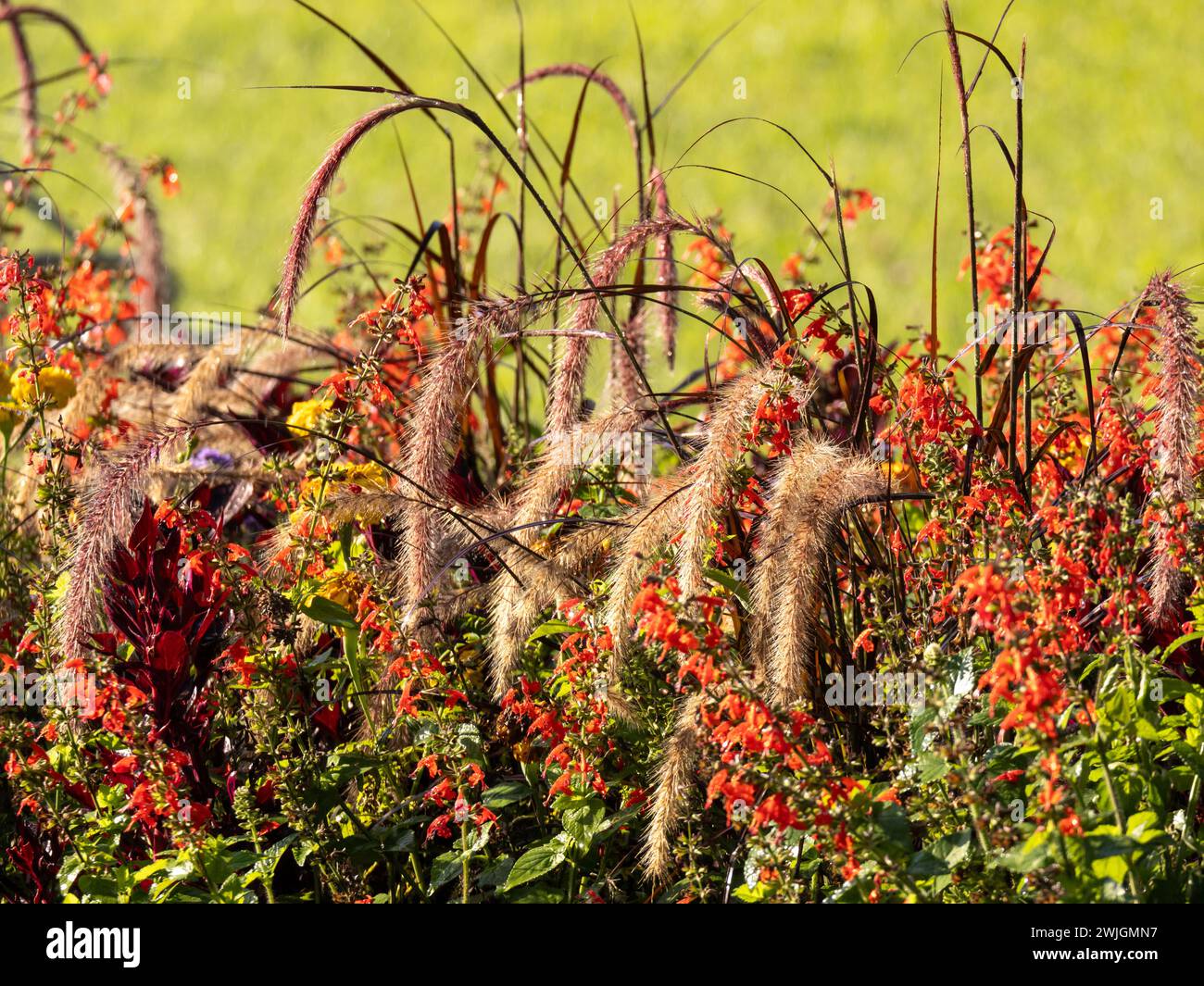 Sunny day park hi-res stock photography and images - Alamy