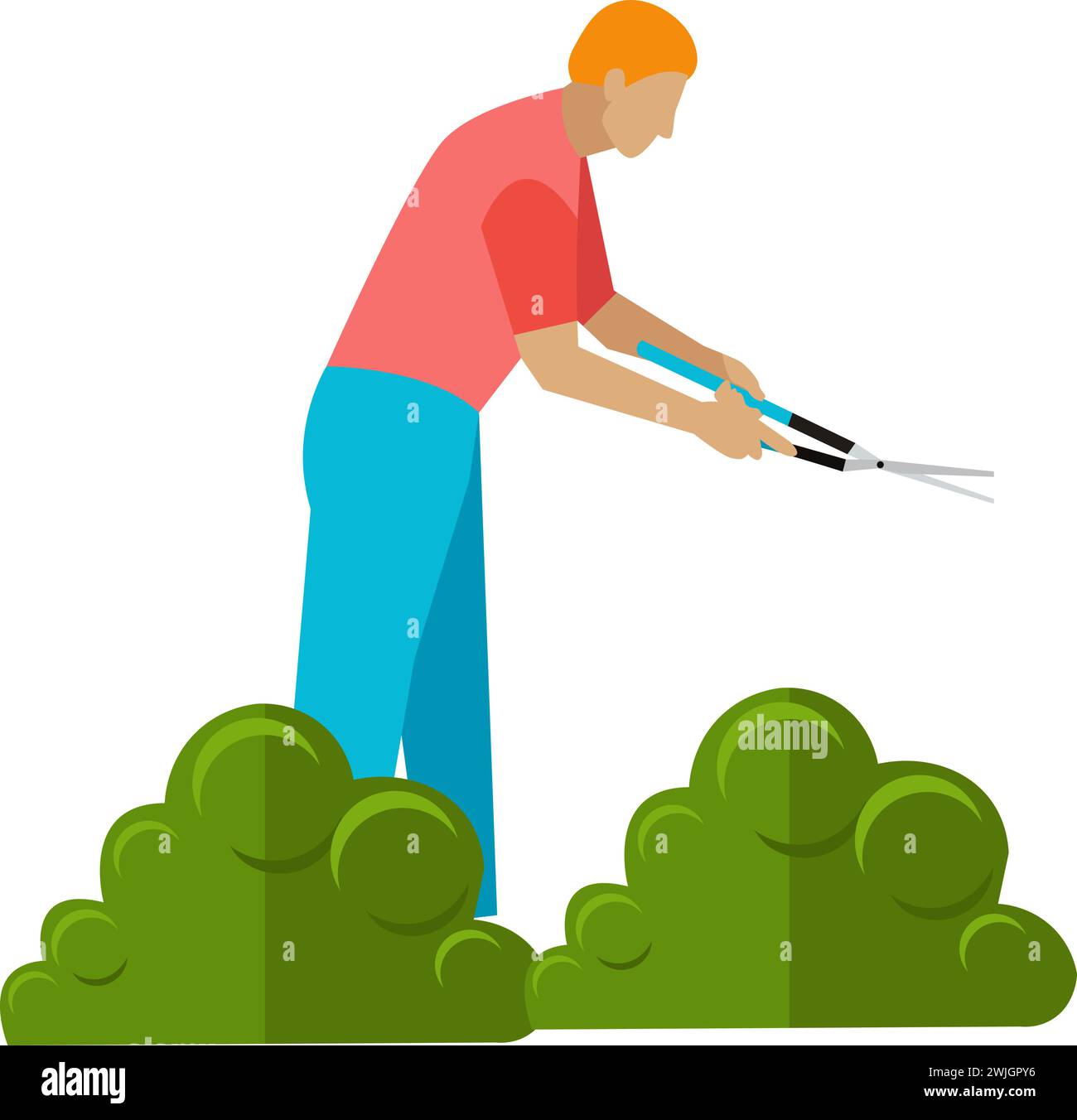 Male gardener trimming bush branches vector icon isolated on white ...