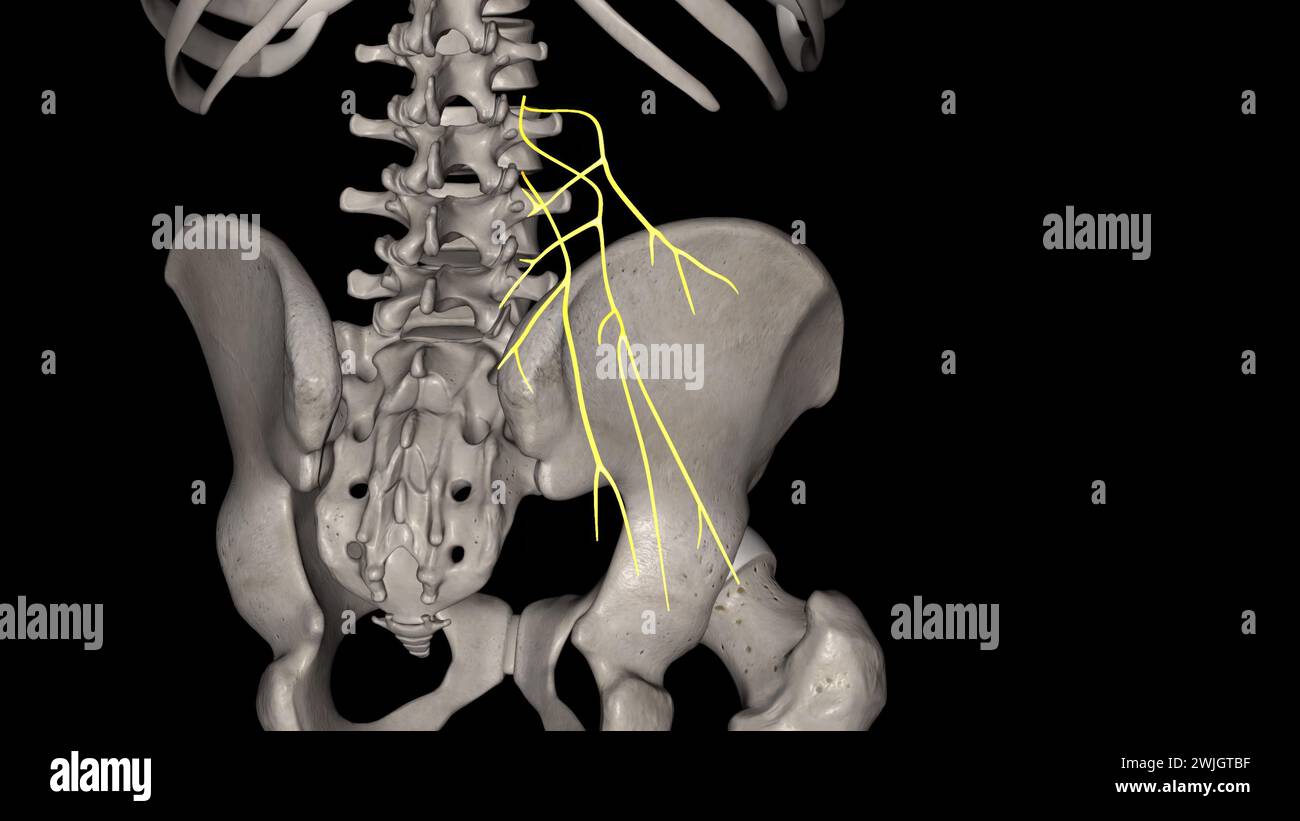 Pure nitrogen hi-res stock photography and images - Alamy