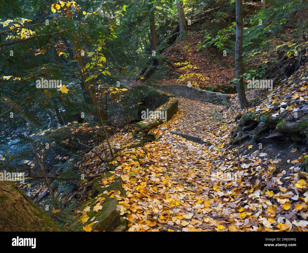 A shaded path strewn with autumn leaves above the Chagrin River in the ...