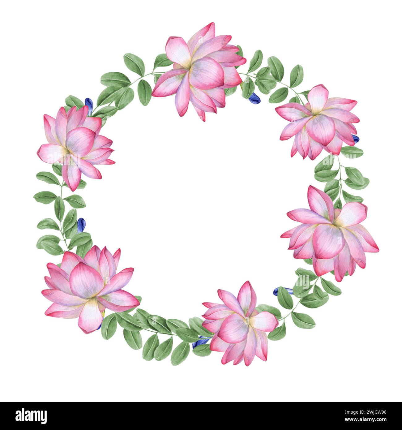 Blooming pink white lotus, anchan leaves. Wreath with Water Lily ...
