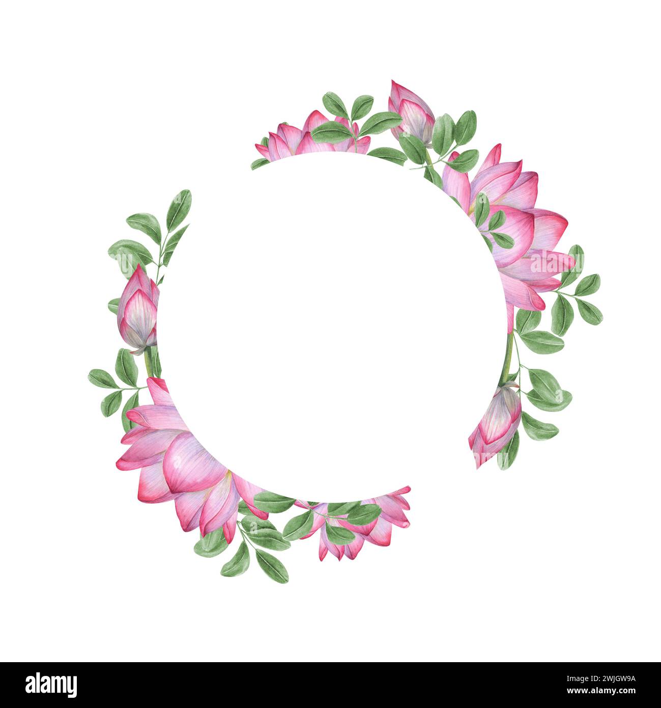 Pink white lotus, Butterfly pea leaves. Round frame with Water Lily ...