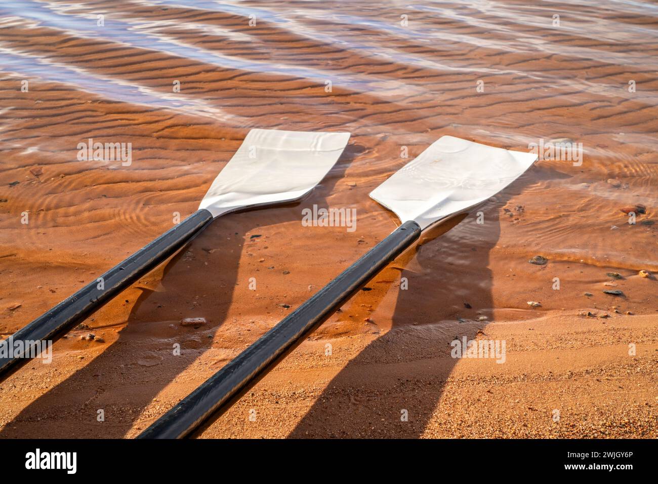 Sculling blades hi-res stock photography and images - Alamy