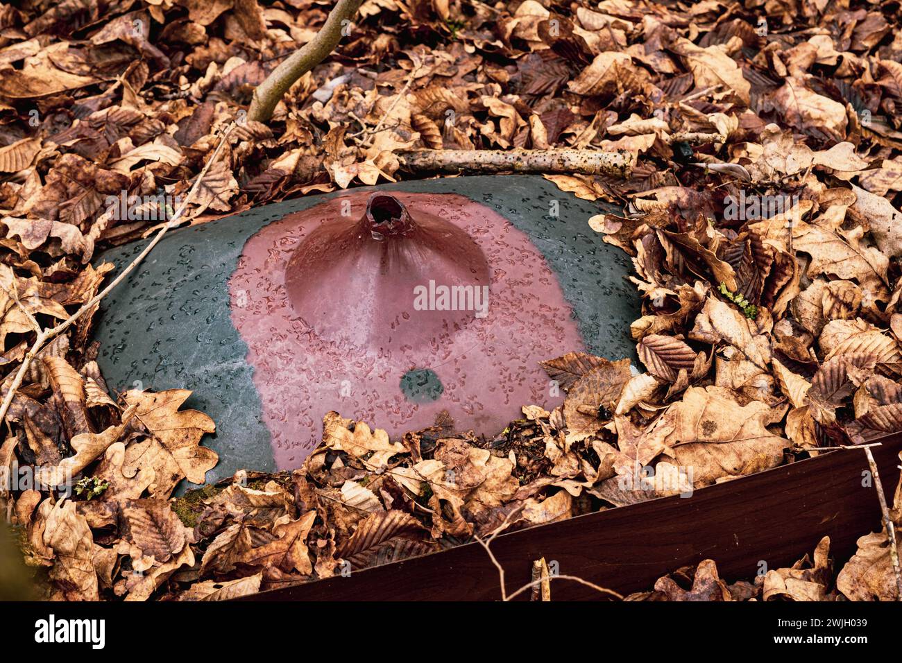 Broken Cathode Electron Beam Tube of Old TV, shattered television trash ...