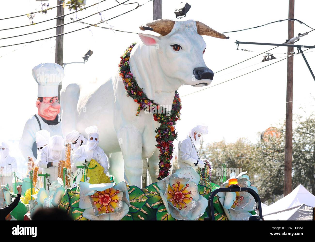 New Orleans, USA. 13th Feb, 2024. The Beouf Gras float rolls through ...
