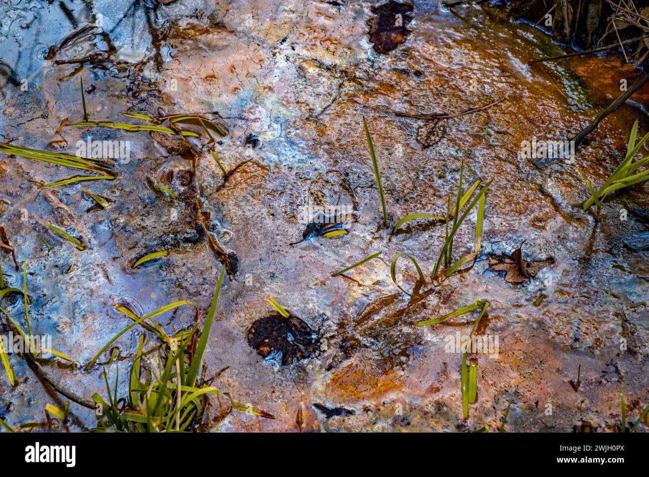 Water pollution on river by toxic chemicals Stock Photo - Alamy