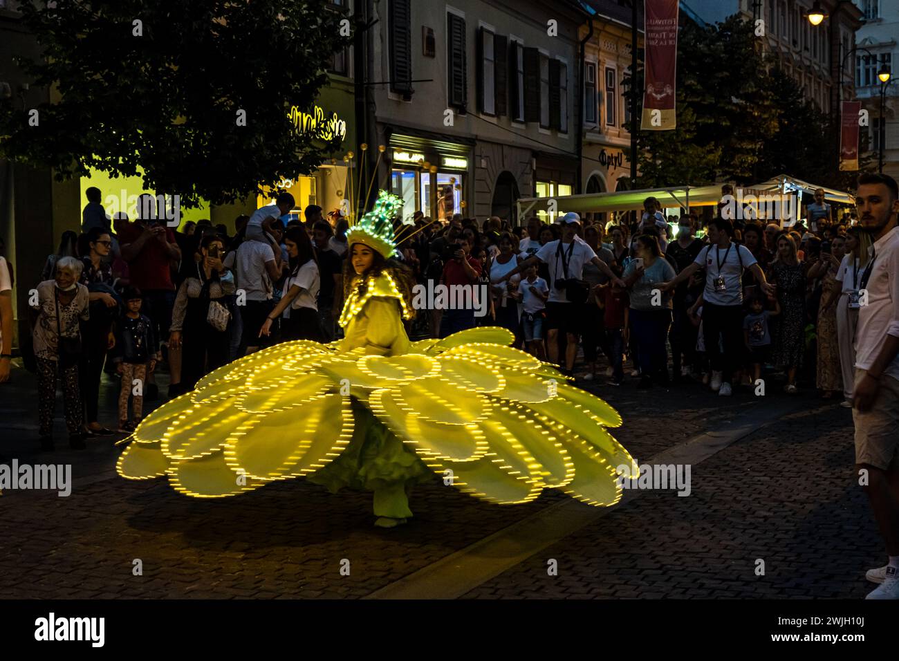 Sibiu City, Romania - 22 August 2021. Giant flowers, illuminated at ...