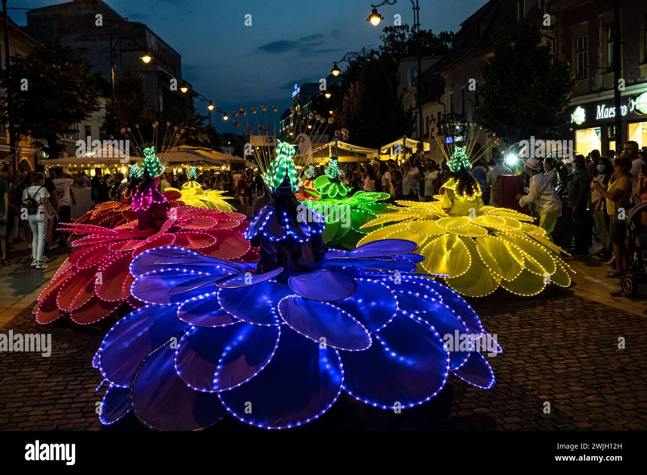 Sibiu City, Romania - 22 August 2021. Giant flowers, illuminated at ...