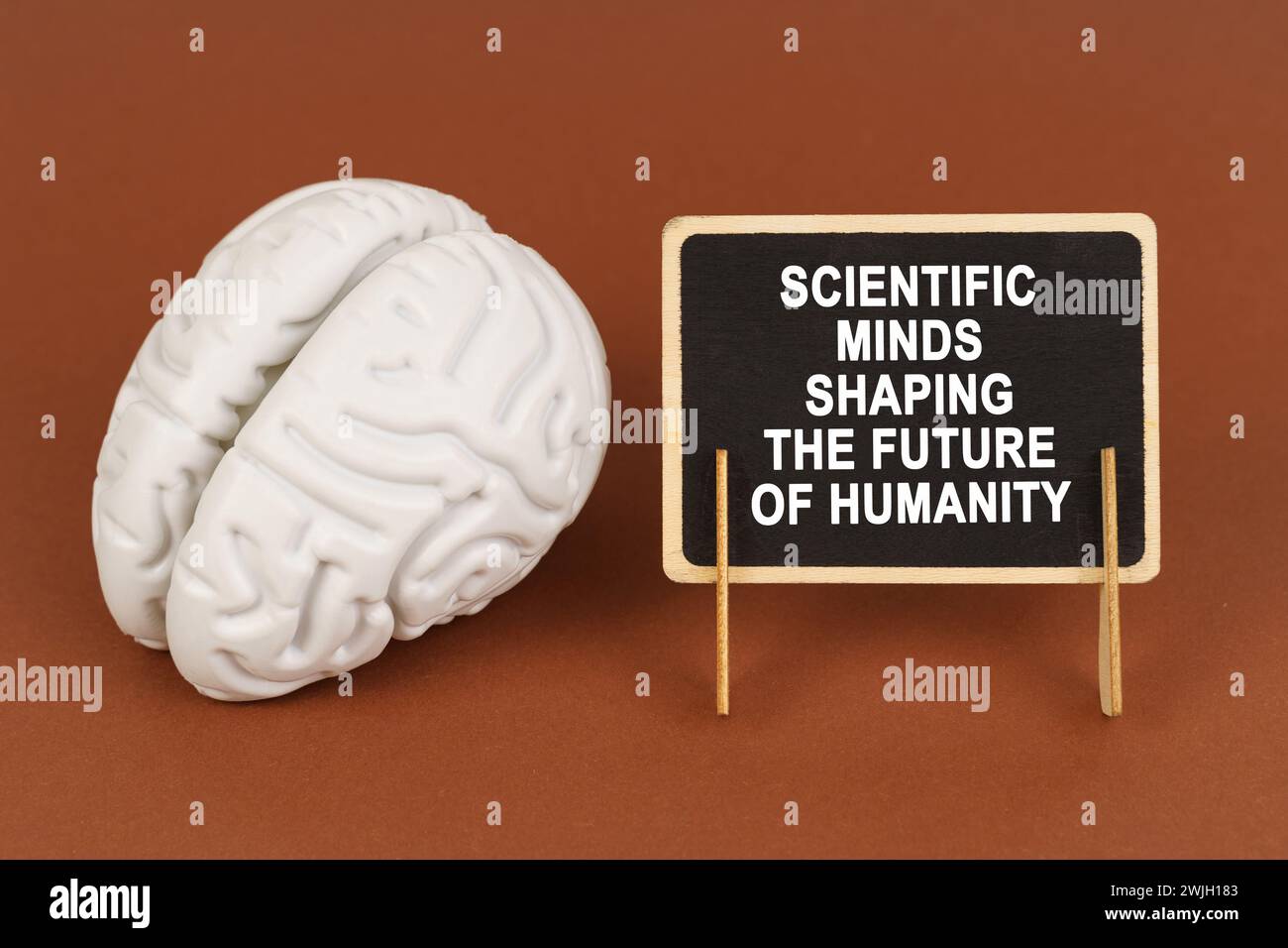 On a brown background, a model of the brain and a sign with the ...