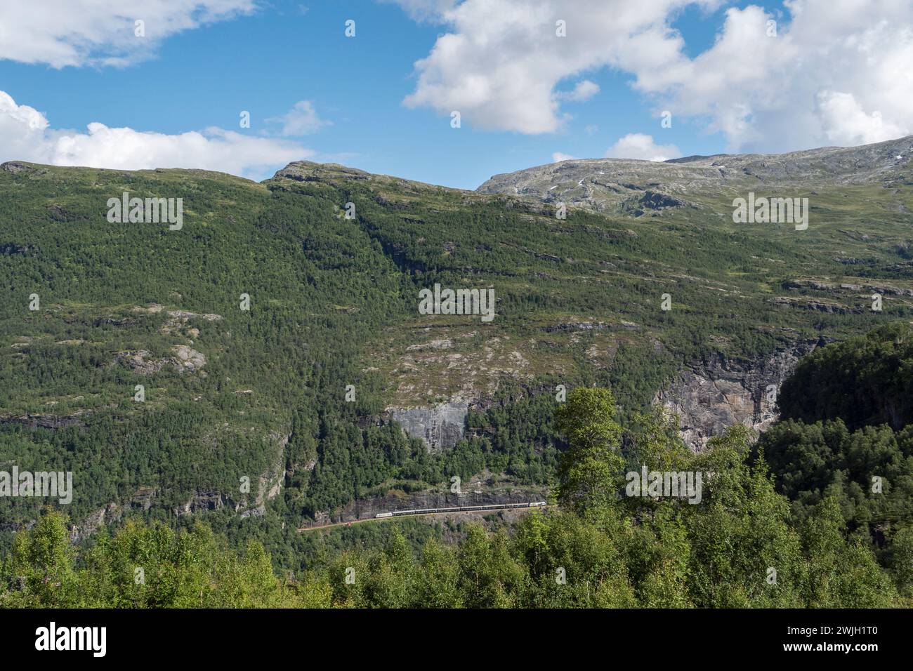 Extreme long shot shows a Flåmsbana (Flam Railway) train passing at the ...